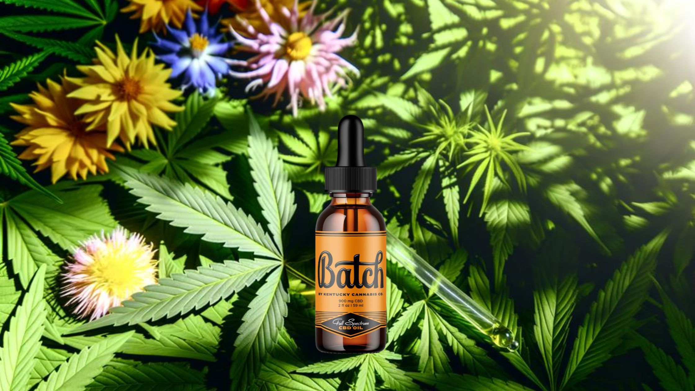 Full Spectrum CBD Oil Benefits and Comparison